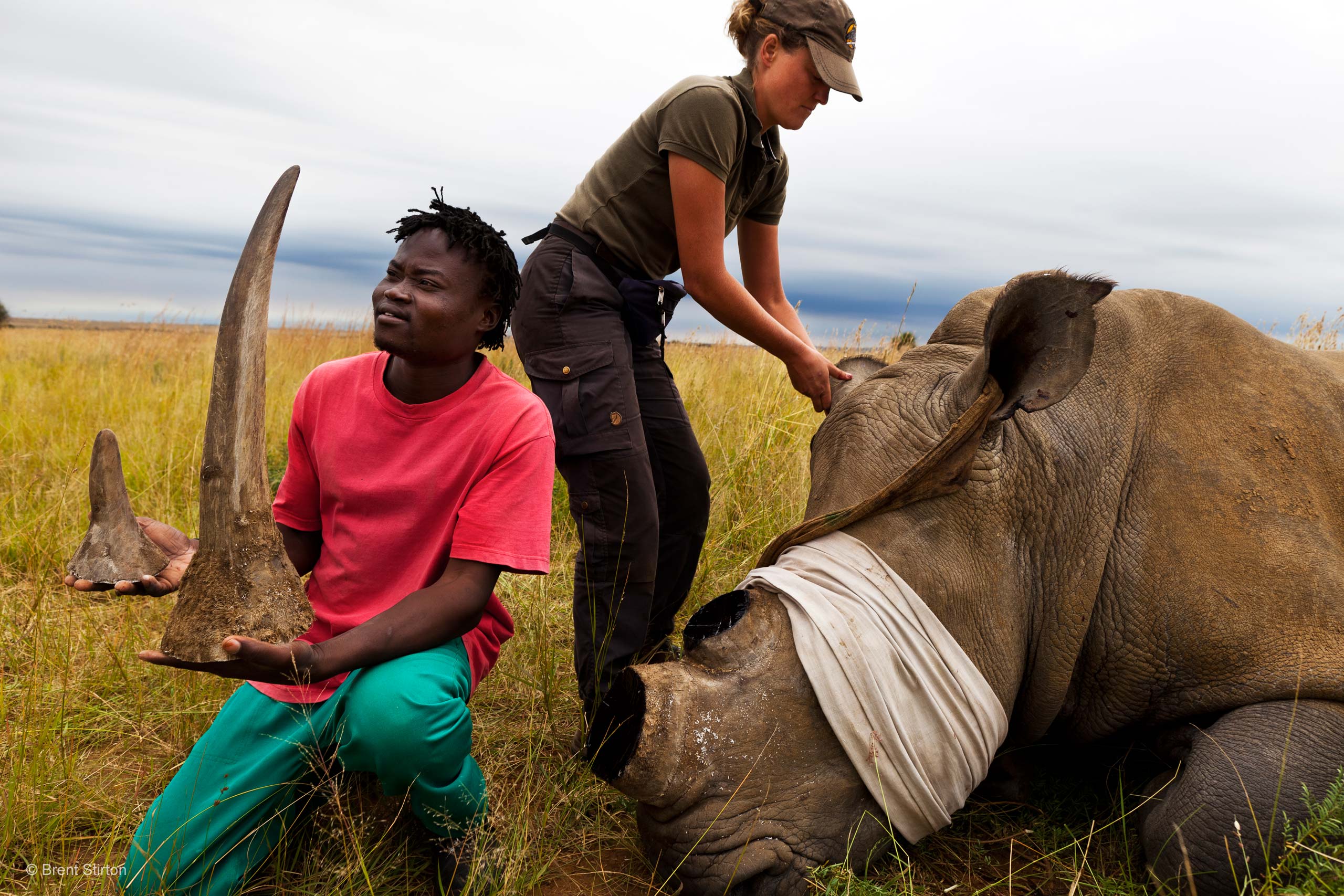 Riding for Rhinos | Cycling around the world to save a species